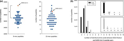 Exploration Of Peptide Similarity Between The Bacillus Calmette Guérin Download Scientific