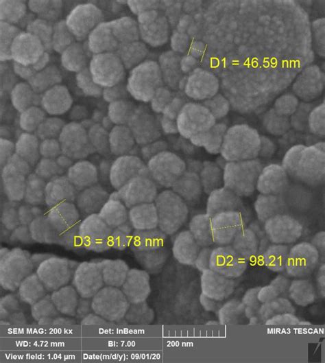 SEM Images Of A Sn Doped TiO AC And B PPy CS Sn Doped TiO NCs Download Scientific Diagram