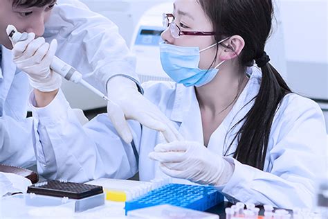 Metatranscriptome Sequencing Novogene