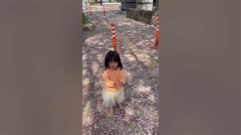 떨어지는 벚꽃 잡으려는 루카 Youtube