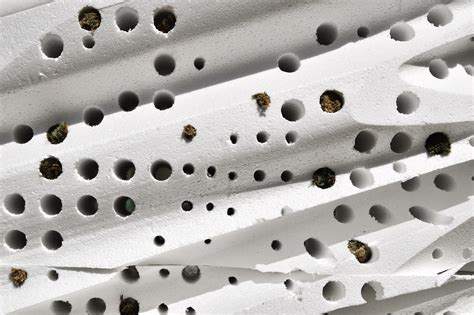 Gallery Of Decomposing Structures With Larvae An Eps Pavilion In South