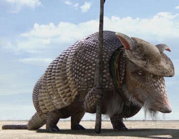 Characters In Rango Tv Tropes