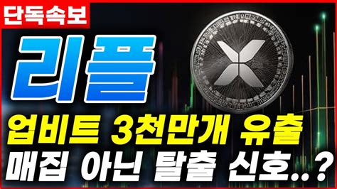 리플xrp 하루만에 1370억 원 리플 대이동큰일난 것 같습니다빨리 시청하세요 리플코인 리플전망 급등코인추천 Youtube