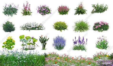 Psd免抠景观植物地被花草下载【id 1140286427】undefined