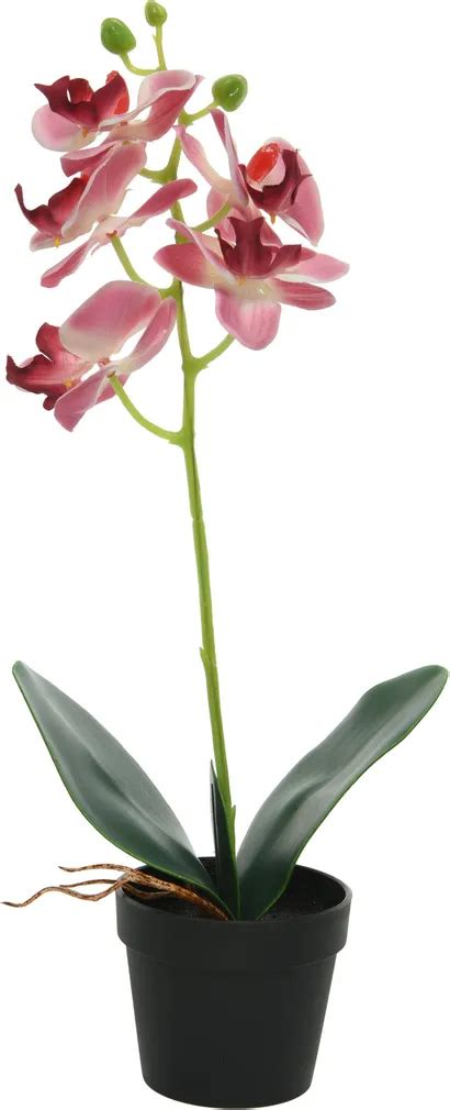 Kunstlill Orhidee PolÜester 40 Cm Potis Roosa Bauhof
