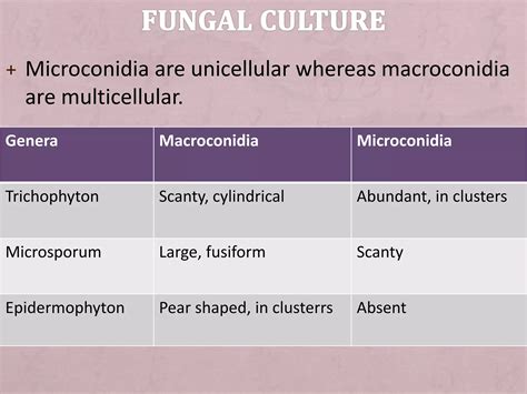 Classification Of Mycoses By Dr Rakesh Prasad Sah Pptx