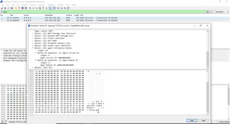 Dhcp Option 82 Question