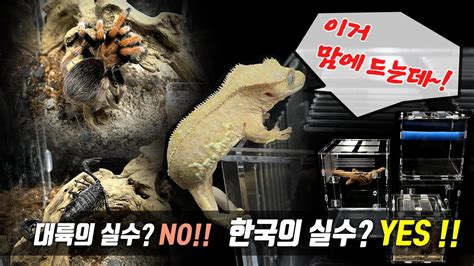 크레스티드게코 전갈 타란튤라 조립형 아크릴 사육장 소개 상편 Youtube