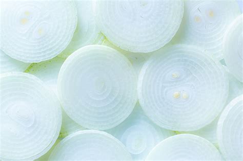 양파 매크로 다채로운 녹색과 노란색 부추 조각 양파 매크로 얇게 썬 핑크 양파 조각 무늬 매크로 텍스처 음식 배경 0명에 대한