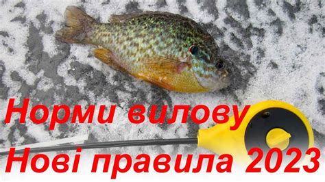 Нові правила риболовлі 2023 Оновлені правила любительського та спортивного рибальства Норма