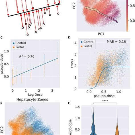 Pseudo Dose Ordering Of Hepatocytes Across Tcdd Dose Response A