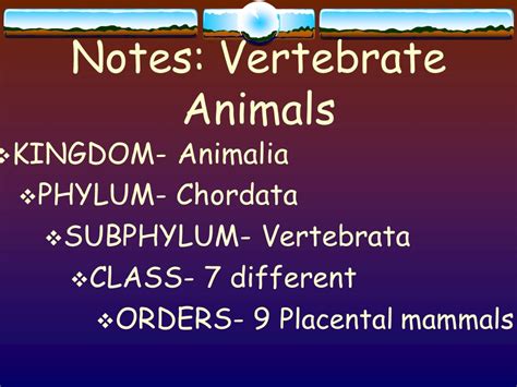Ppt Hierarchy Example Kingdom Kingdom Animalia Phylum Phylum