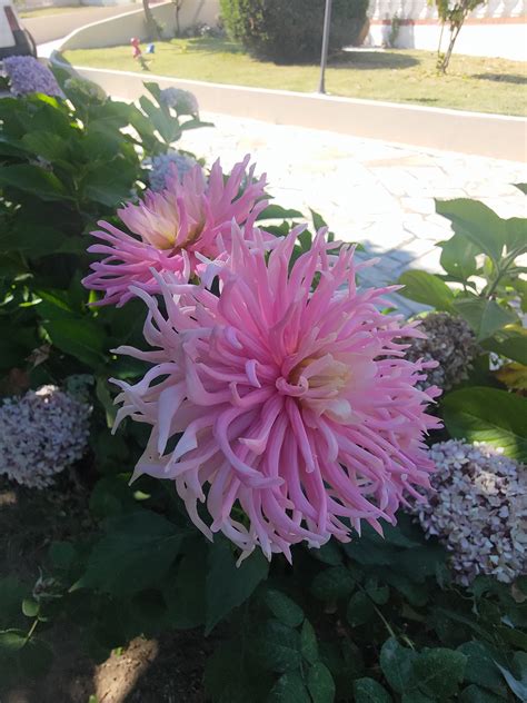 Learning Geometry Nodes On Behance