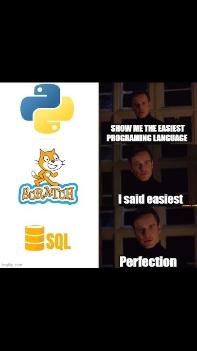 Easiest Programming Language Programmerhumor Shorts Short Youtube