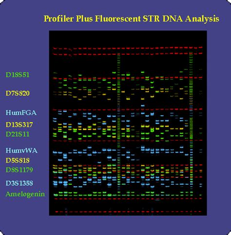 New And Improving DNA Profiling Continues To Impress And Surprise