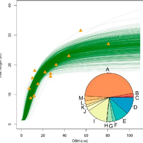 Modeled Tree Height H [m] Versus Diameter Breast Height Dbh [cm] For Download Scientific