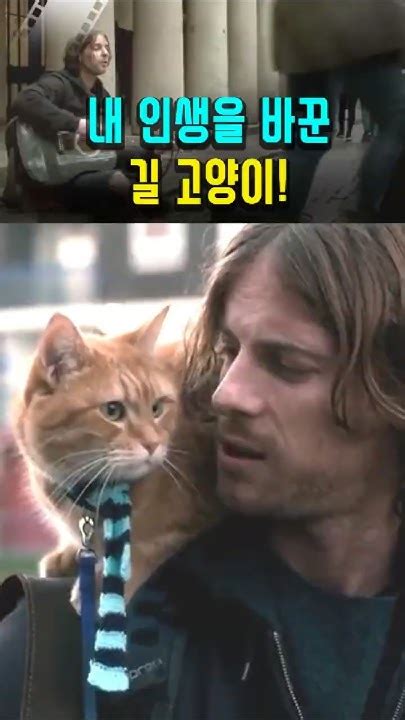 인생을 포기한 남자와 길고양이의 만남실화 감동실화 길고양이 치즈냥 Youtube