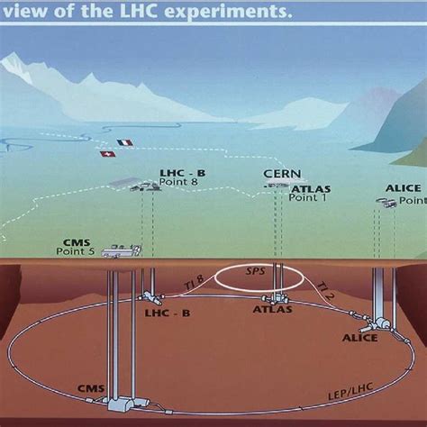 2 The Cteq6l1 Parton Distribution Function Of U D And B Quarks And Download Scientific