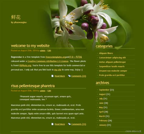 Htmlcssjavascript 大学生网页设计制作作业实例代码 200套静态响应式前端网页模板全网最全建议收藏html网页完整代码作业 Csdn博客