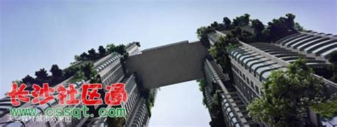 重庆天空森林 重庆天空悬廊 重庆天空之城 大山谷图库