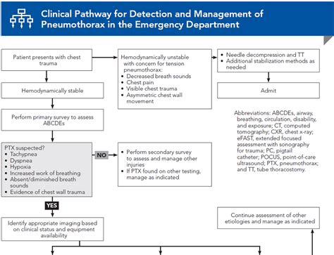 Chapter 1 Traumatic Pneumothorax Updates In Diagnosis And Management