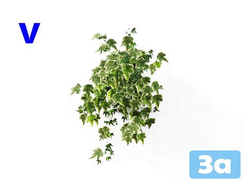 Sketchup Tree Model High Quality 3d Model For Architecture And Design