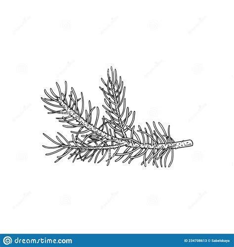 Christmas Fir Tree Branch Hand Drawn Black Line Vector Illustration
