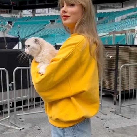 Taylor Swift Outfits Jeans Taylor Swifts Best Looks — How To Get