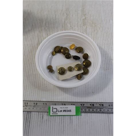 Air Force Buttons Cadet Military Related Bodnarus Auctioneering