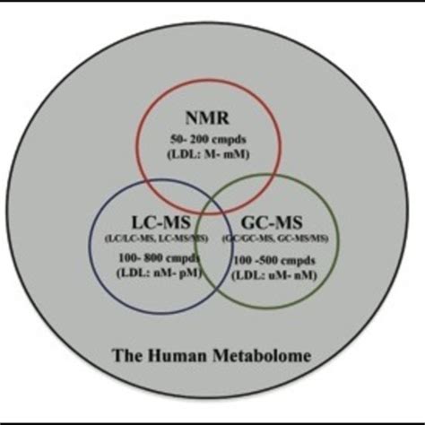 The Most Commonly Used Analytical Platforms In Metabolomics Schematic