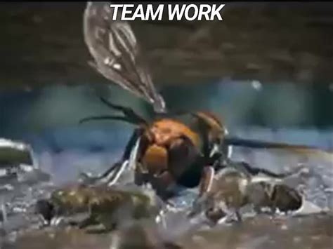 Shraddha Pandey Posted On Linkedin