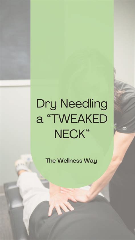 How Many Of You Are On Levothyroxine Or Synthroid And Have Not Gotten Your Adrenals Tested⁉️