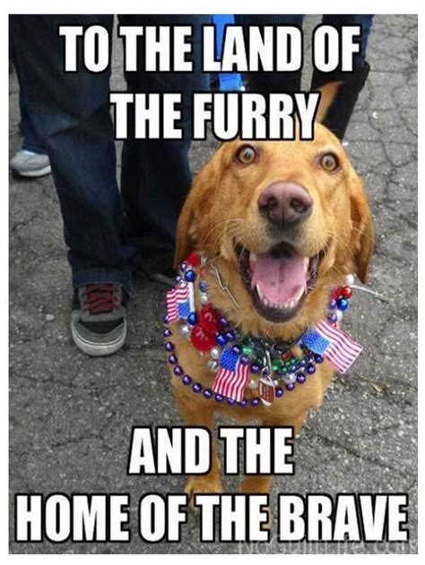 Funny 4th Of July Memes That Every American Can Laugh