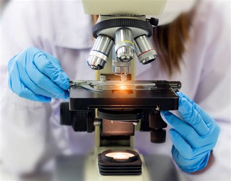Csf Cell Count