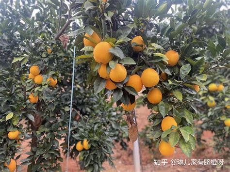 温柔治愈又暖心的话你最喜欢哪一句 知乎