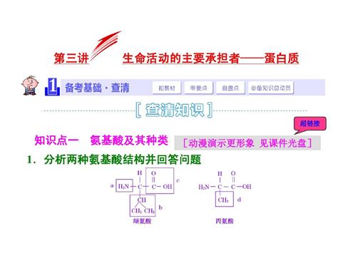 2015届《三维设计》高考生物一轮精品课件：113生命活动的主要承担者 蛋白质word文档在线阅读与下载无忧文档