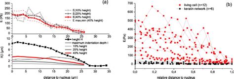 Color Online A Elastic Profile And Height Profile Of A Single Living
