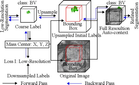 Deep Mouse An End To End Auto Context Refinement Framework For Brain Ventricle And Body