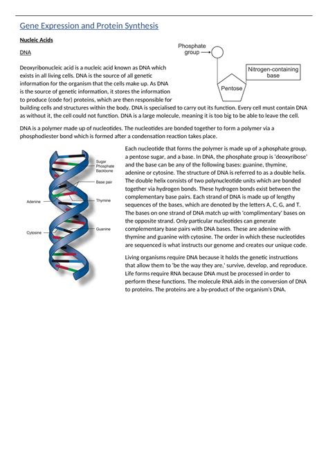 Btec Level 3 Applied Science Unit 11 Assignment A Unit 11 Genetics And Genetic Engineering