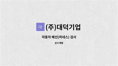 주대덕기업 자동차 배선하네스 검사 더팀스