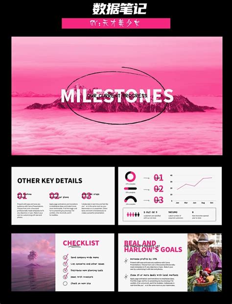 原创ppt 随笔涂鸦 高级简约风粉白数据ppt 3 天才美少女 来自小红书网页版