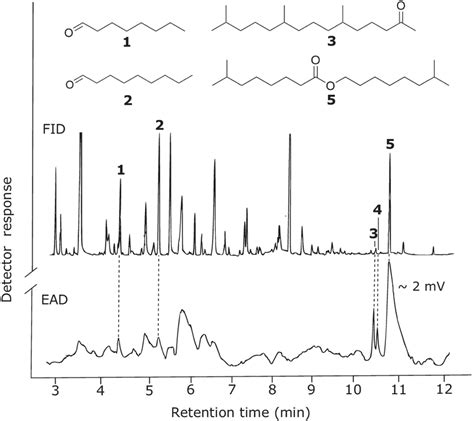 Headspace Gas Chromatography Flame Ionization Detector At Frank
