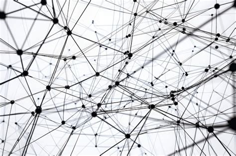 This Visual Representation Highlights The Intricate Connections Of A