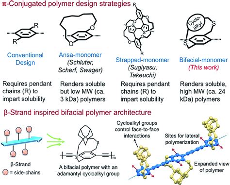 β Strand Inspired Bifacial Polymer Architecture Download Scientific Diagram