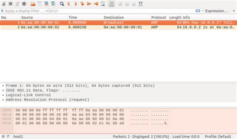 pcap recording — inet 4 5 4 documentation
