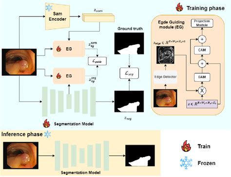 论文审查 Sam Eg Segment Anything Model With Egde Guidance Framework For
