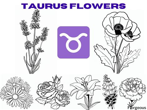 Taurus Birth Flower Embracing The Beauty And Resilience Of The Bull Florgeous