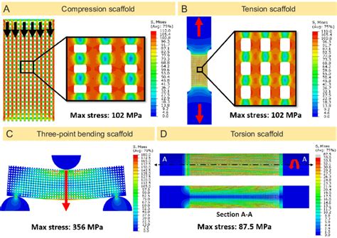A D Section View Of Finite Element Model Results Of Compression A Download Scientific