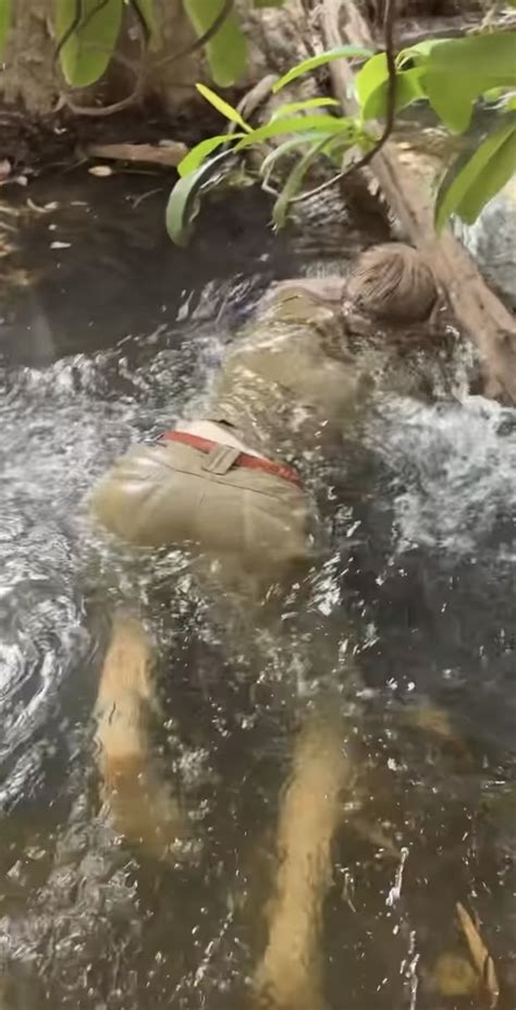 Skivviescelebs On Tumblr