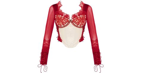 Lara Ari Magda Lace Corset Leather And Velvet Long Sleeve Bustier In